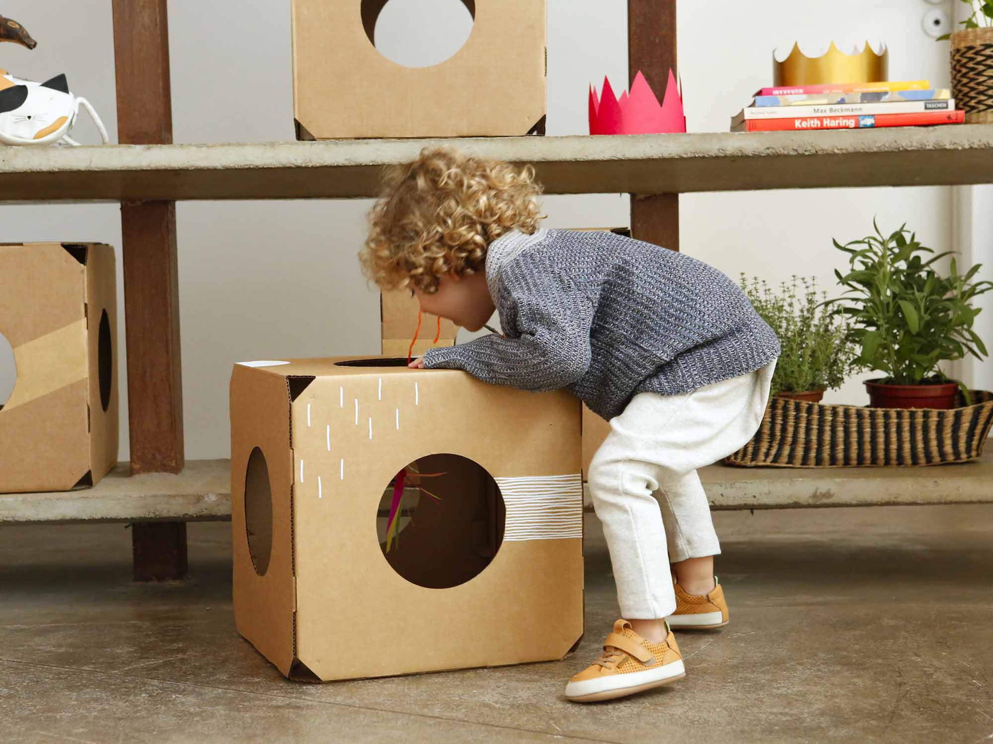 SIT & CRAWL Sneaker Casual for Boys Urbany | Tip Toey Joey - Australia