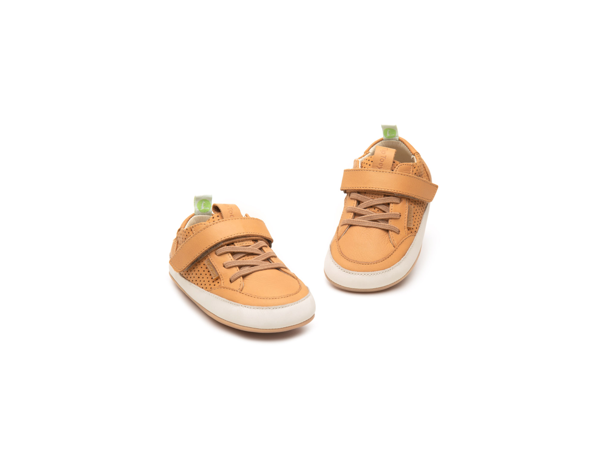 SIT & CRAWL Sneaker Casual for Boys Urbany | Tip Toey Joey - Australia